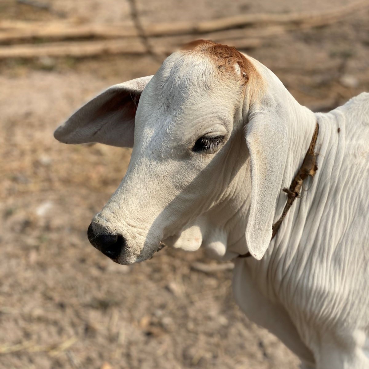 How we Help – Helping Foundation